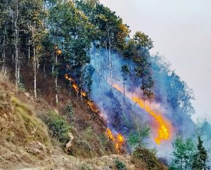 Trishuli Prawaha Weekly Newspaper – त्रिशूली प्रवाह साप्ताहिक | दुई ...